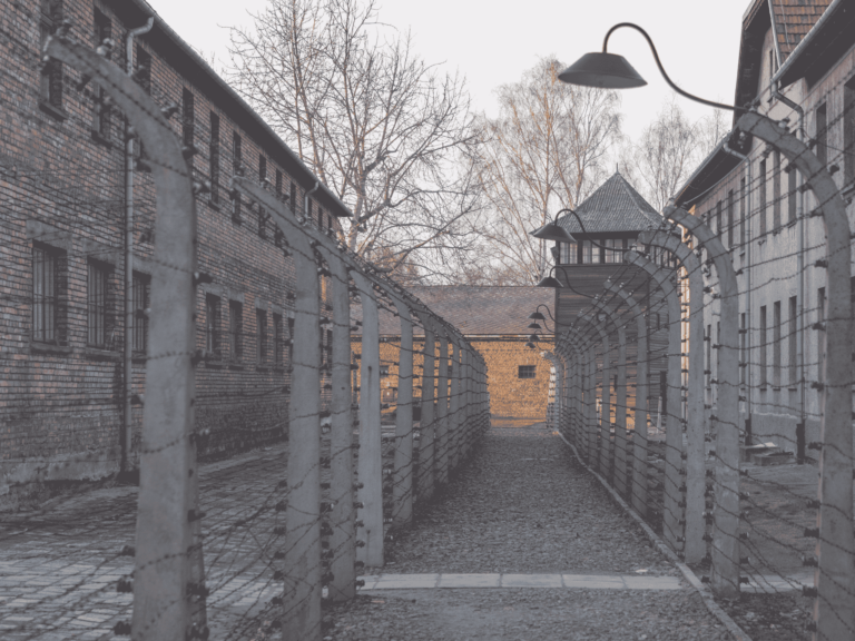 Is It Worth Taking an Auschwitz Tour from Krakow? A Guide to Visiting ...